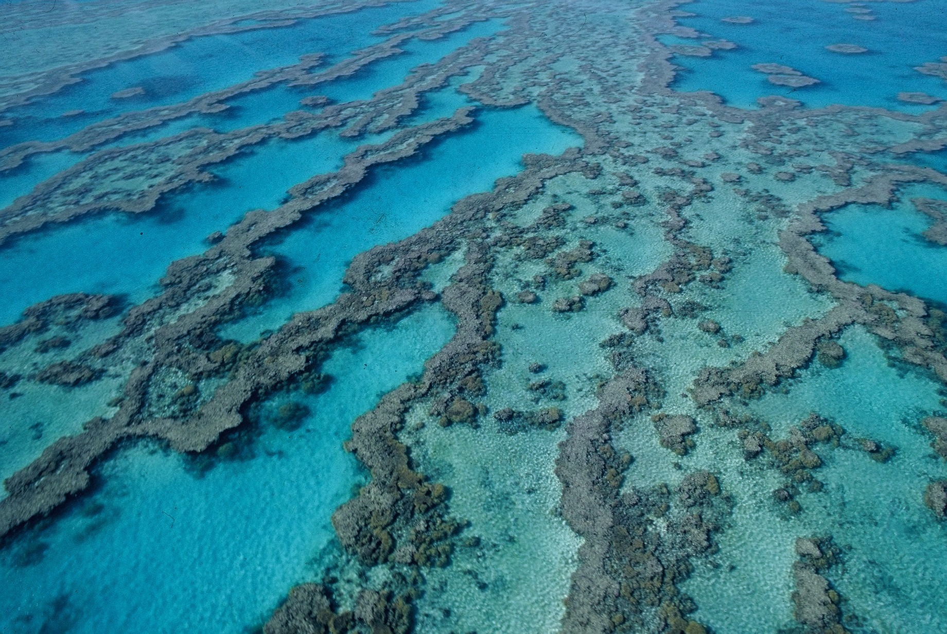 2023 in Review – Whitsunday Conservation Council