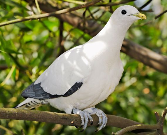 2023 in Review – Whitsunday Conservation Council