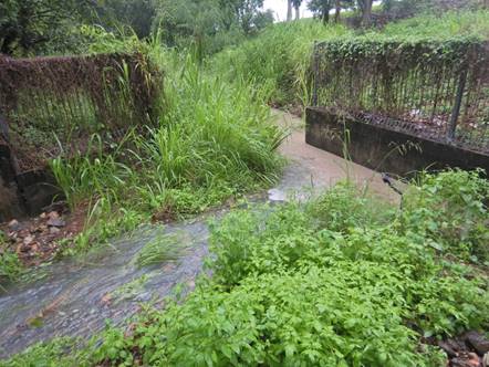 Runoff Damages Environment & Tourism – Whitsunday Conservation Council