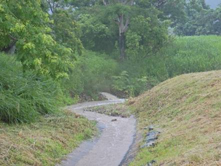 Runoff Damages Environment & Tourism – Whitsunday Conservation Council