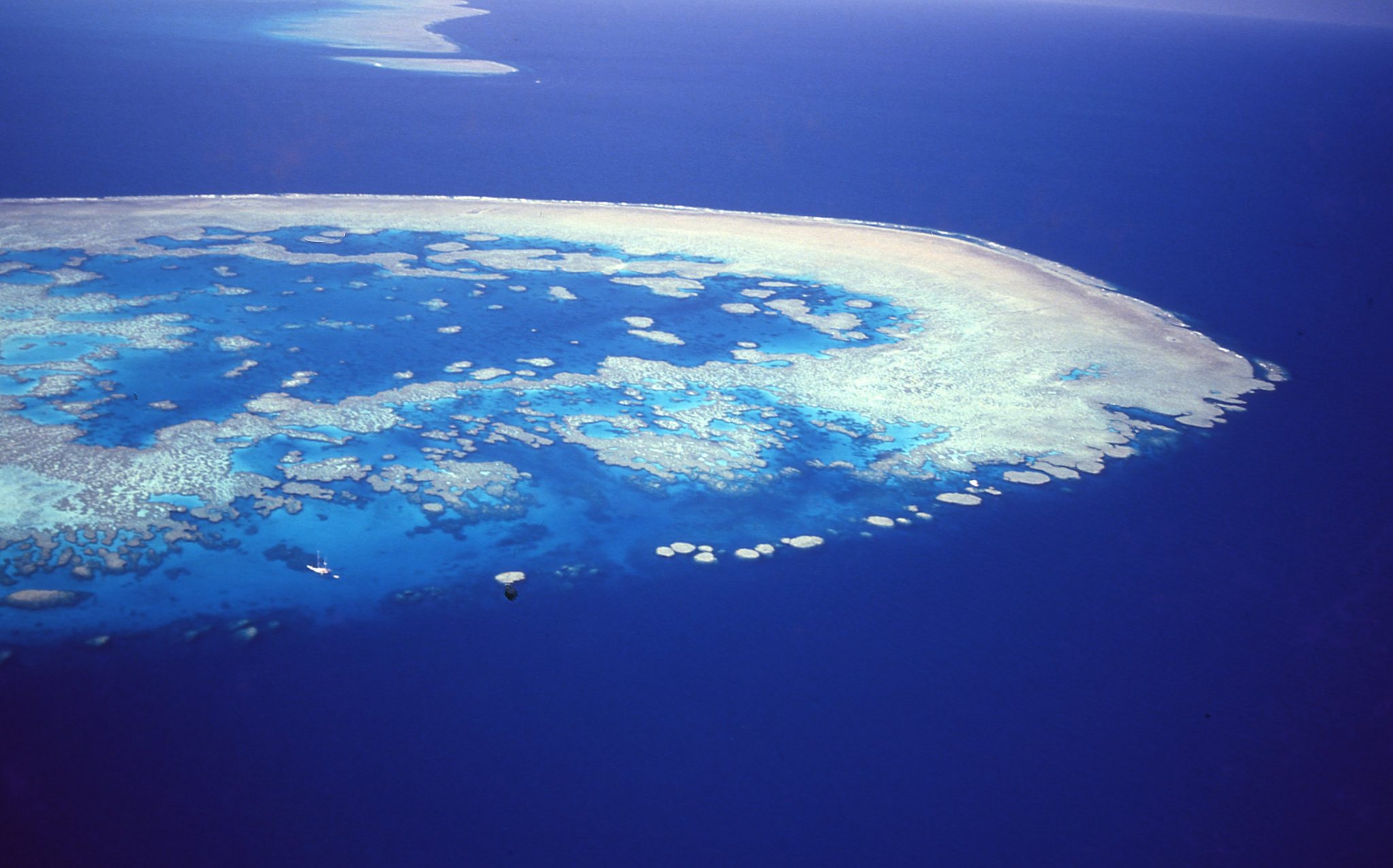 1.5 Keeps Reefs Alive – Whitsunday Conservation Council